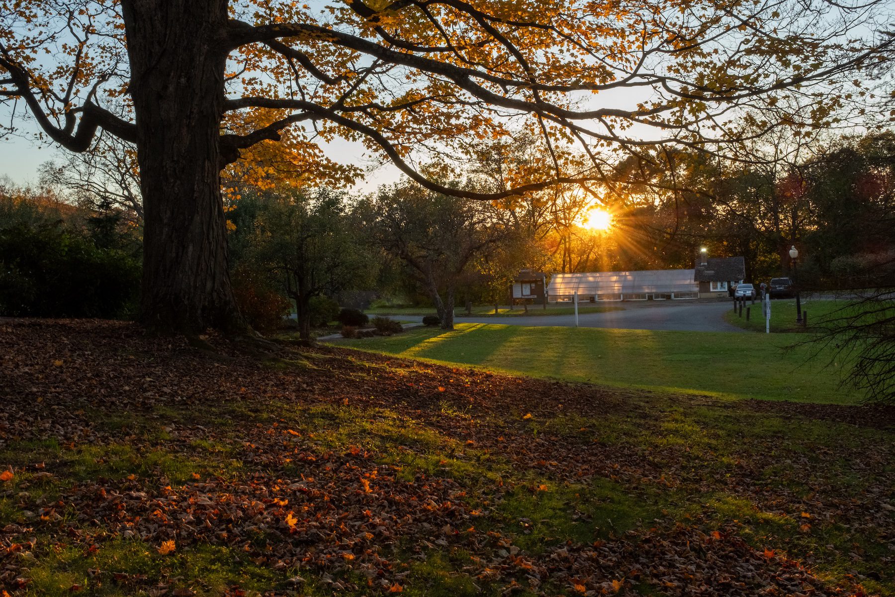 The Magic Hour: Evening Weddings at Tarrywile Park